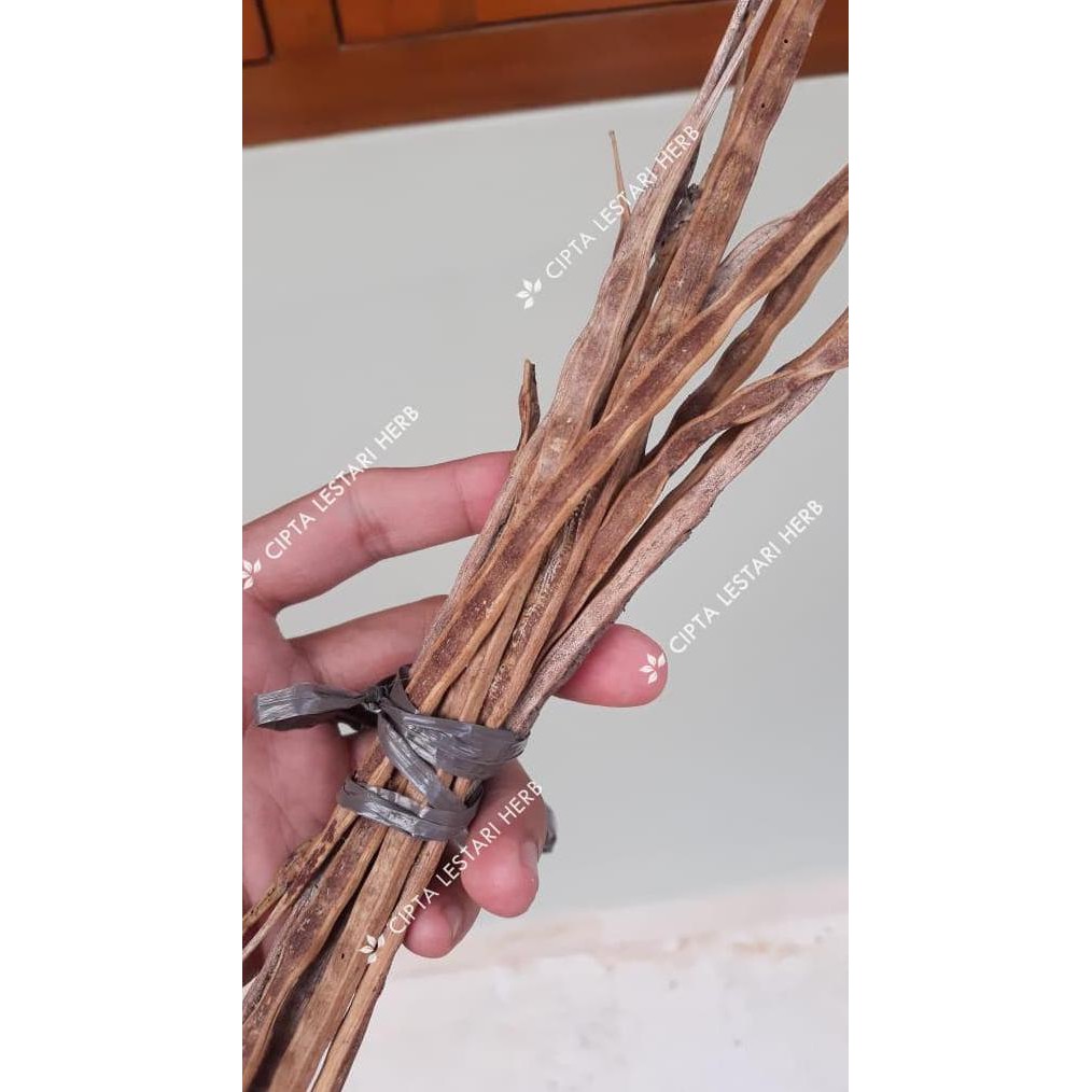 Jual Bibit Tanaman Bunga Turi Merah - Kembang Hias Outdoor dan Obat ...