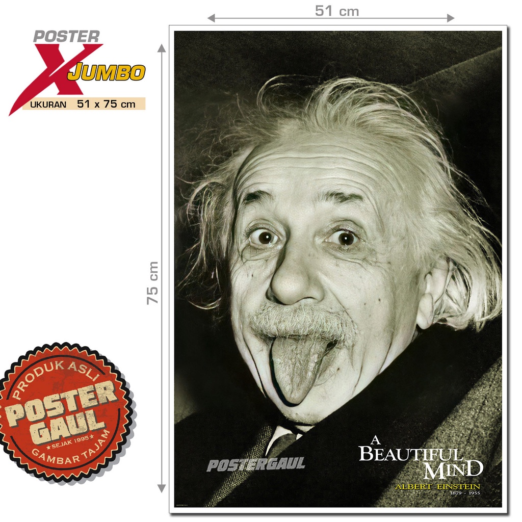 Jual PosterXJumbo ALBERT EINSTEIN : A BEAUTIFUL MIND #XJFJP162 - ukuran ...