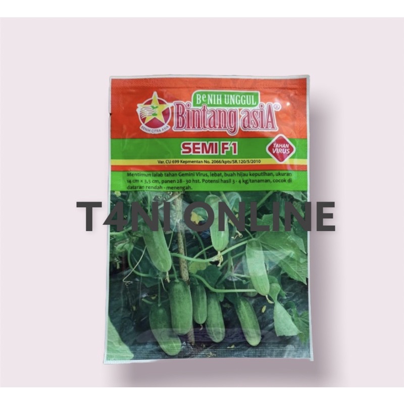 Jual BENIH TIMUN SEMI F1 20 GR BINTANG ASIA MENTIMUN TAHAN VIRUS ...