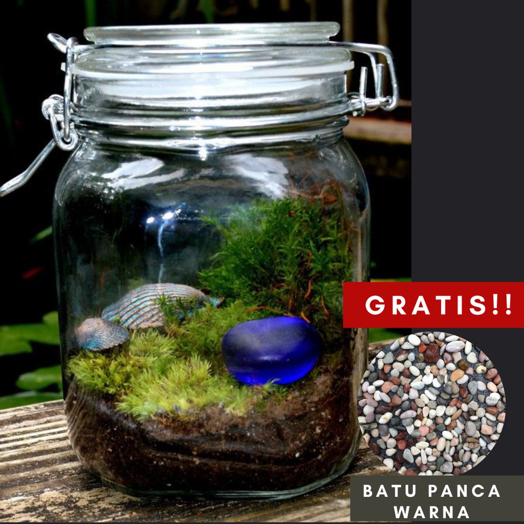 Jual Aquarium Cupang 1L dan 1.5L | Aquarium Mini Cupang Gratis Batu ...