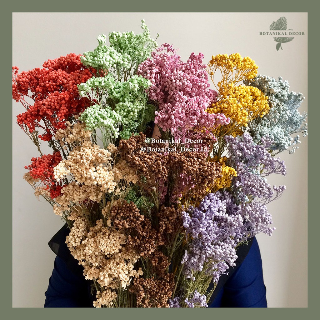 Dried Rice Flower Buket Bunga Tangkai Kering asli Pajangan Dekorasi ...