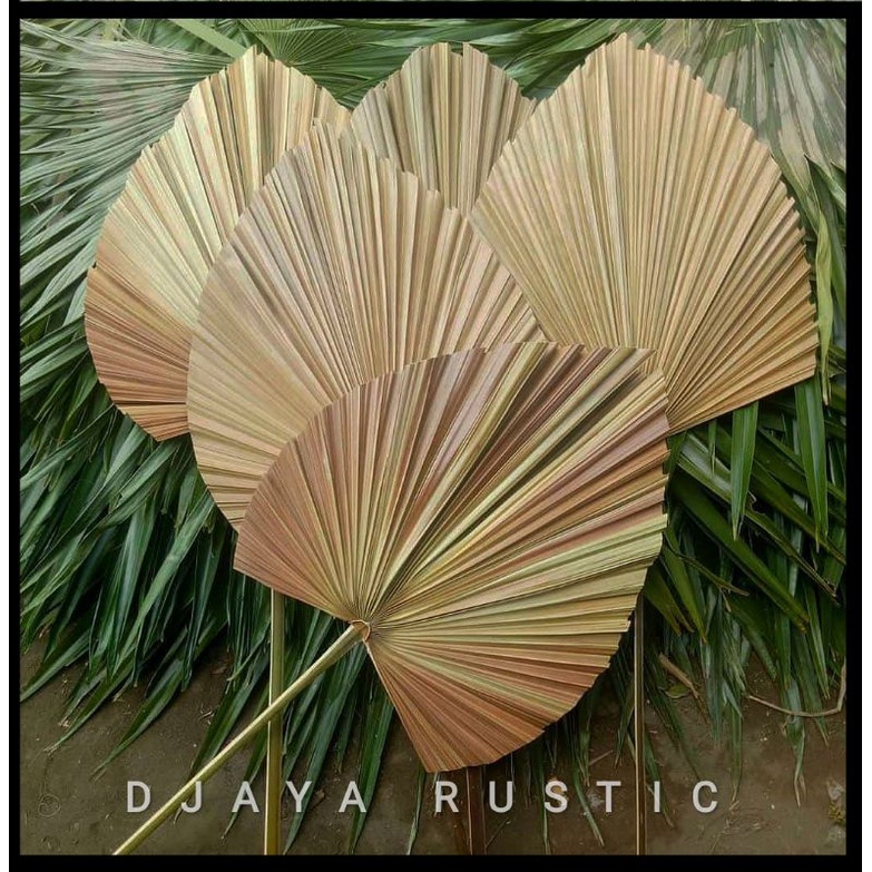 Jual Daun Palem Kering Dekorasi Rustic | Palem Natural | Shopee Indonesia
