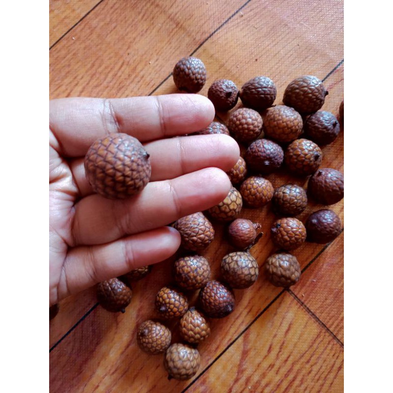 Jual 30gram Biji Rotan Bulat Indonesia|Shopee Indonesia