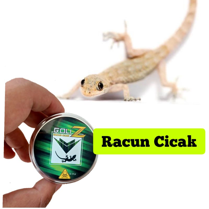 Jual Goliz Obat Cicak Ampuh / Racun Cicak Ampuh / Racun Cicak Herbal ...