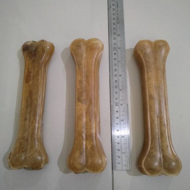 Jual TULANG BONE ANJING - PRESSED BONE NATURAL 8" B1008 | Shopee Indonesia