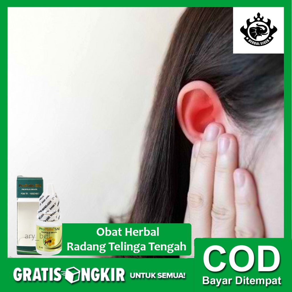 Jual Obat Herbal Radang Telinga Tengah, Otitis Media, Radang Telinga ...