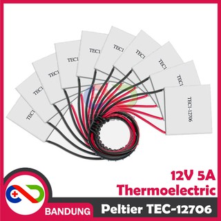 PELTIER TEC-12706 TEC1 12706 THERMOELECTRIC DC 12V 6A | Shopee Indonesia