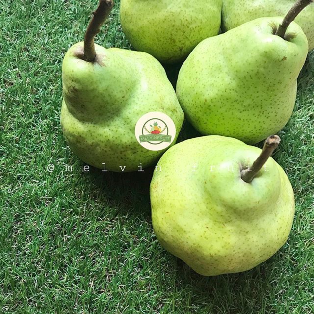 Pear Packham Africa | Shopee Indonesia