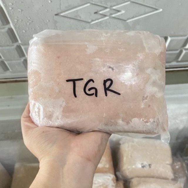 Jual Ikan Putak Terlengkap & Harga Terbaru Februari 2023 | Shopee Indonesia