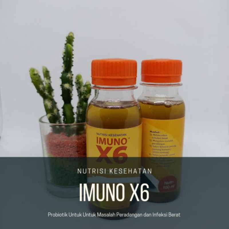 Jual IMUNO X6 - Nutrisi Probiotik Untuk Masalah Peradangan dan Infeksi ...