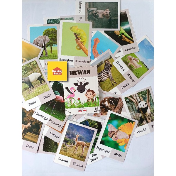Jual Flashcard Hewan Animal Bilingual - (swl) | Shopee Indonesia