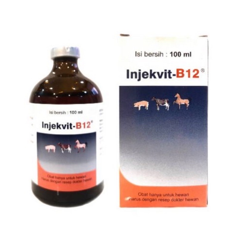 Jual Injekvit B12 100ml | Shopee Indonesia