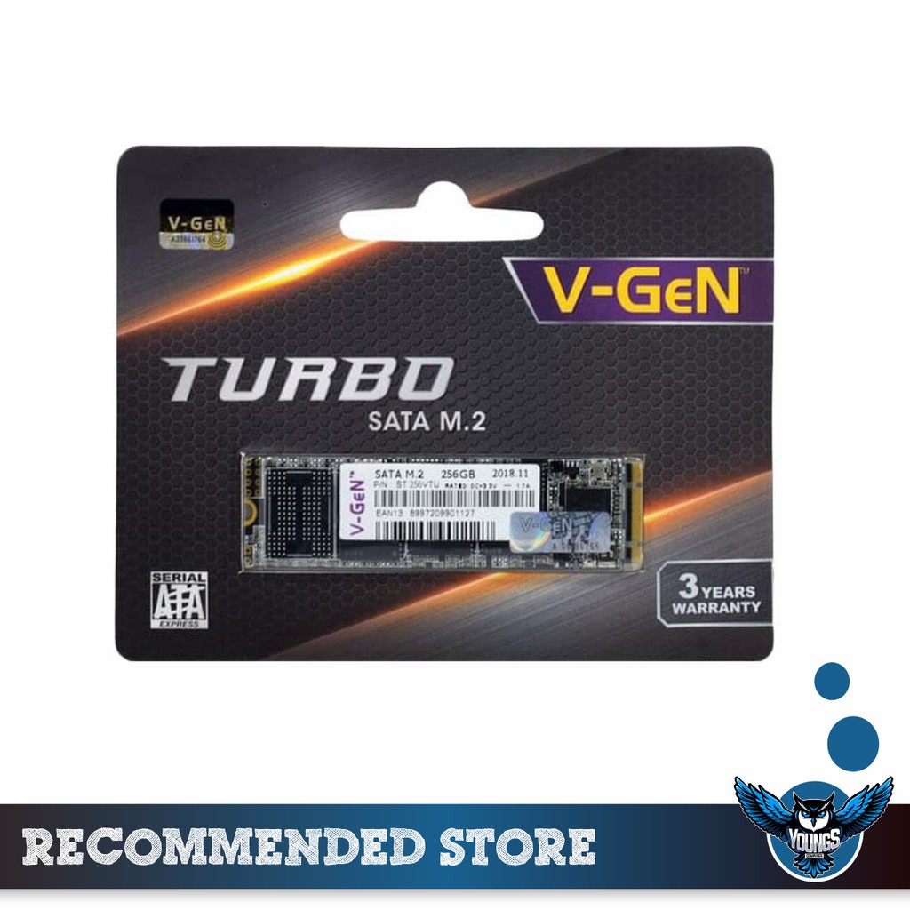 Jual SSD M.2 SATA V-GEN 256GB VGEN TURBO Indonesia|Shopee Indonesia