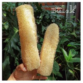 Jual Loofah Oyong Gambas Kering Spons Organik | Shopee Indonesia