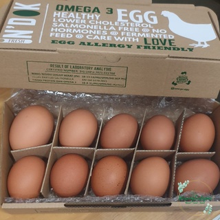 Jual Telur Ayam Omega 3 isi 10 butir per pack Omega Eggs Telor Omega 3 ...