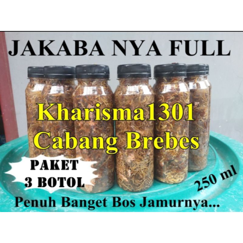 Jual Jamur Biang Jakaba isi Full Botol 250 ml (Paket 3 botol) | Shopee ...