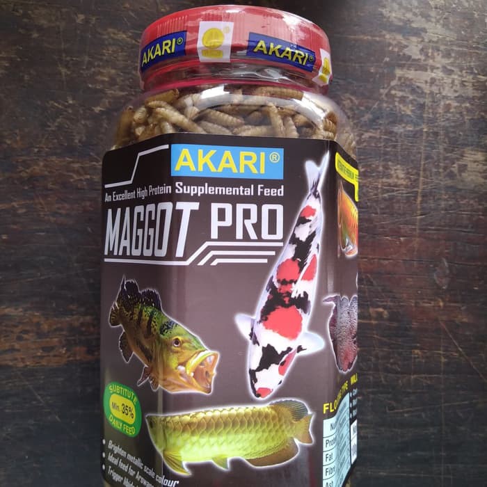 Jual Pakan ikan louhan Koi arwana AKARI Maggot PRO ulat 100 gr | Shopee ...