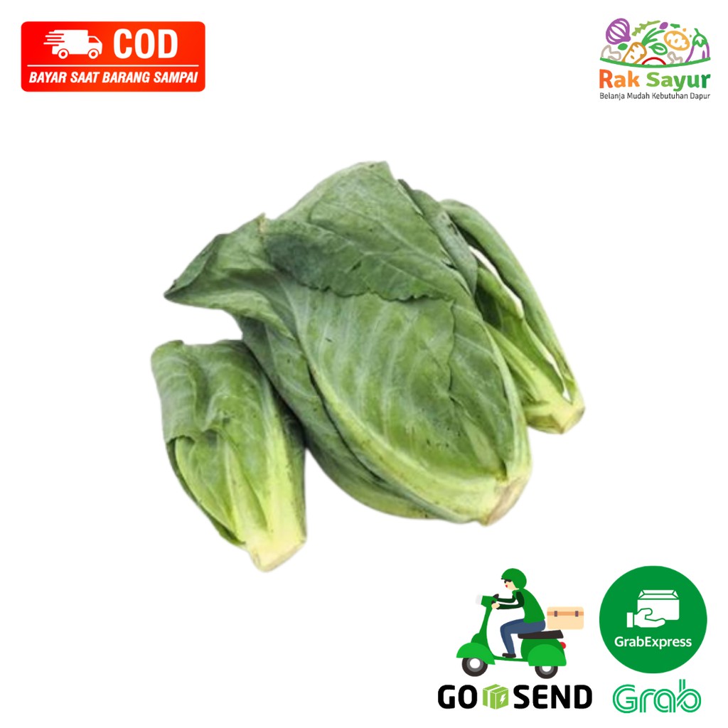 Jual Sayur Ciwis Cuciwis Kol Baby Cameo Segar 250gr Sayuran Fresh Rak ...