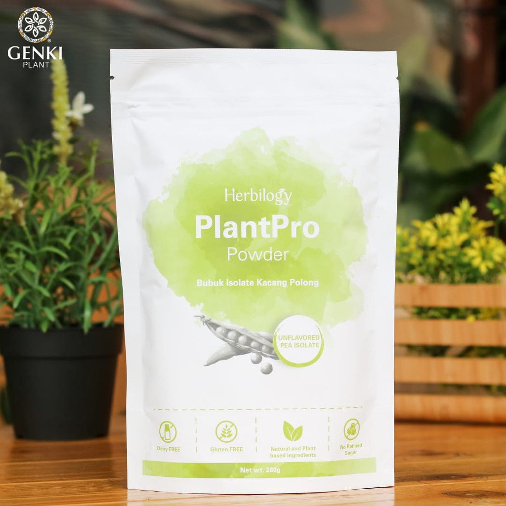Jual Herbilogy PlantPro Powder Unflavored (Plant Protein) - 280 g ...