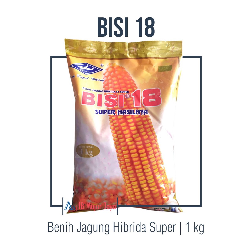 Jual Bisi 18 Benih Jagung Hibrida Cap Kapal Terbang 1 Kg Shopee Indonesia