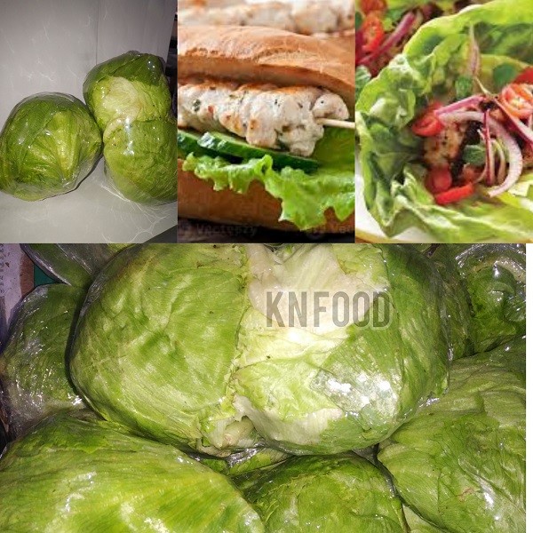 Harga Letuce Kebab Terbaru Desember 2022 |BigGo Indonesia