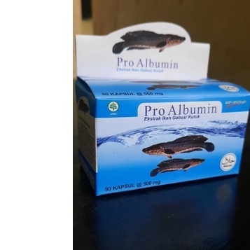 Jual Kapsul Pro Albumin/Ikan Gabus/Ikan kutuk Meningkatkan Daya Tahan ...