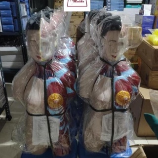 Jual Phantom/Manekin/Manikin/Organ Tubuh Manusia Torso Wanita/Torso ...