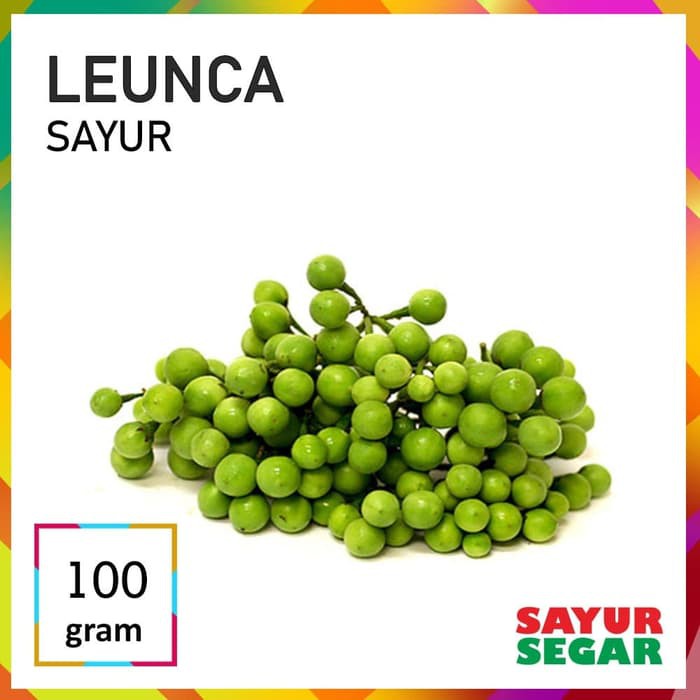 Jual Leunca Sayur [100G] | Shopee Indonesia