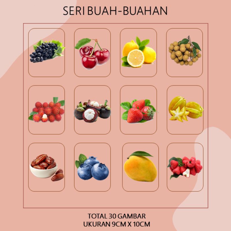 Jual FLASHCARD Seri Buah-Buahan | Shopee Indonesia