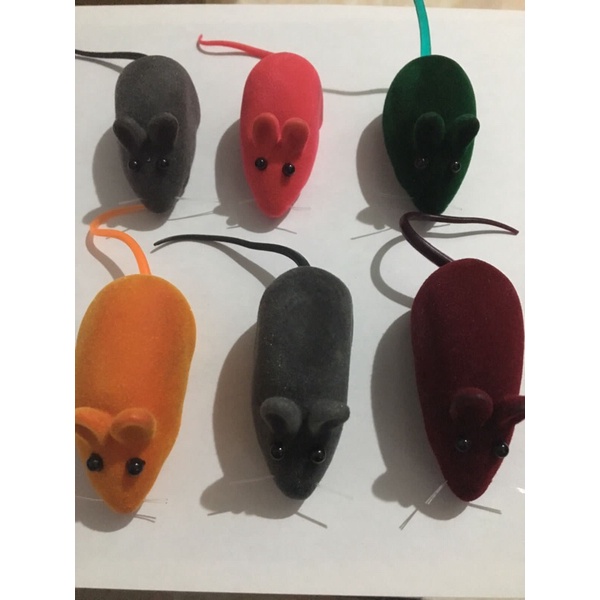 Jual Mainan tikus cit | Shopee Indonesia