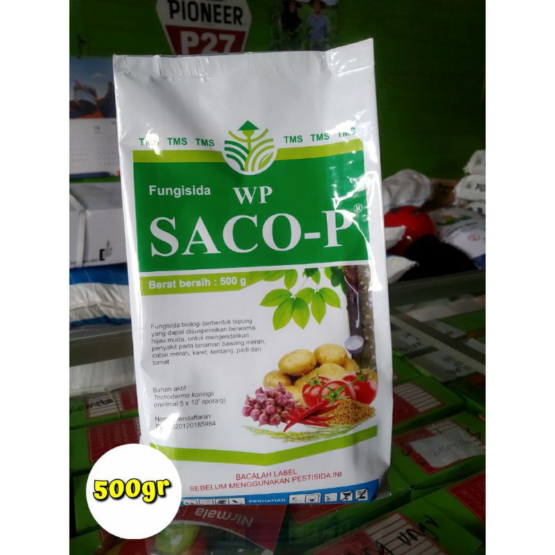 Jual Saco-P WP Fungisida Biologi Pengendali Penyakit anti layu Tanaman ...