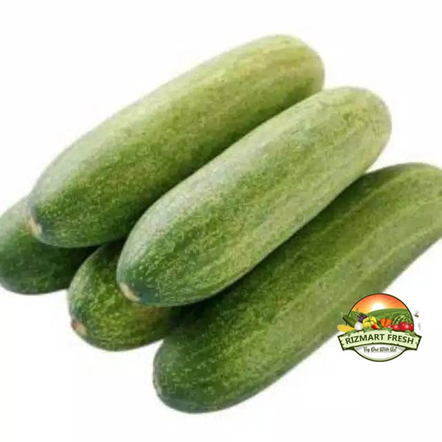 Harga Bonteng Terbaru Februari 2024 |BigGo Indonesia