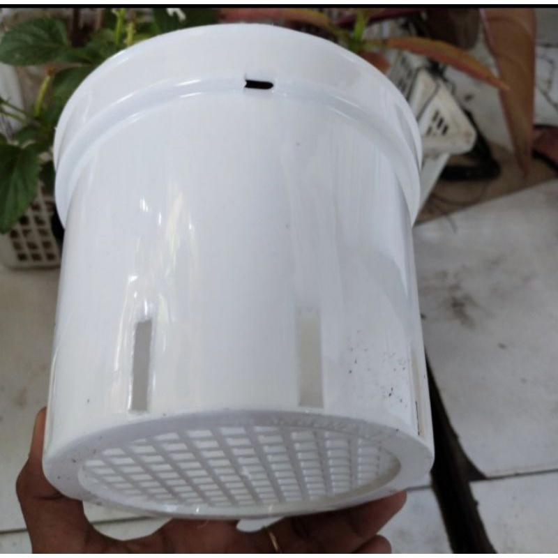 Jual pot anggrek 17 putih, pot cattleya, pot lubang banyak, pot putih ...