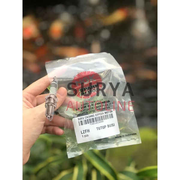 Jual TUTUP BUSI - COP BUSI MOTOR BAJAJ XCD/PULSAR (LZFH) | Shopee Indonesia