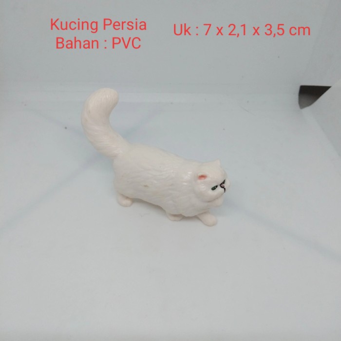Kucing Persia Medium Putih