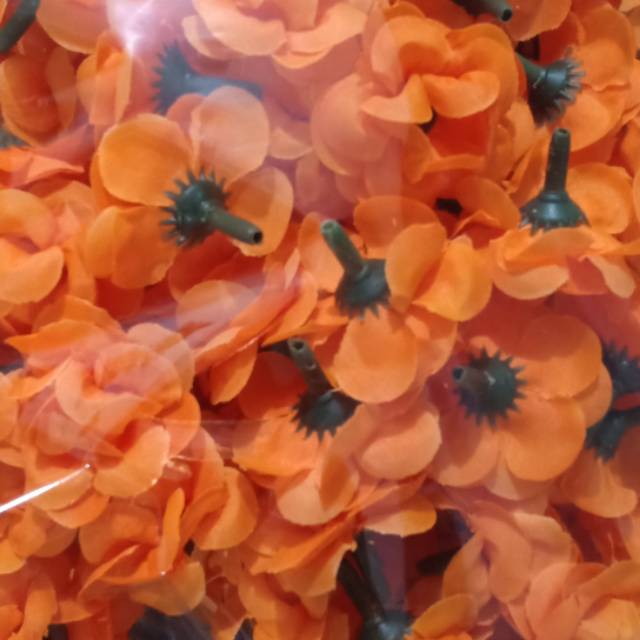 Jual Bunga suyok isi 100 pcs | Shopee Indonesia