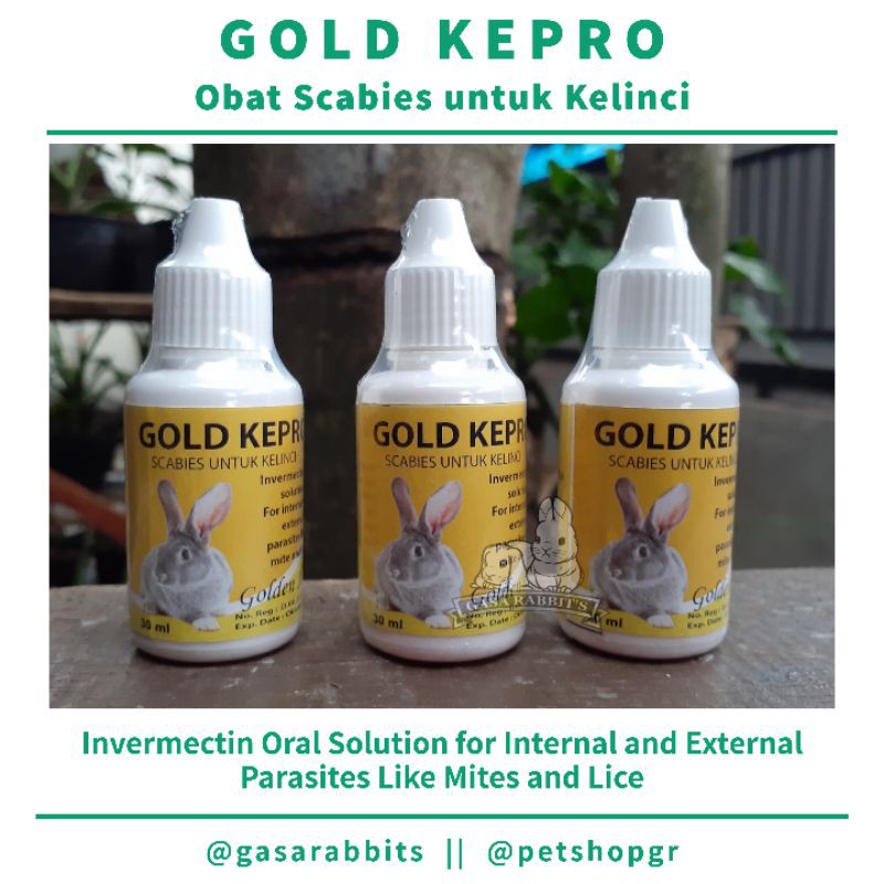 Jual GOLD KEPRO - OBAT SCABIES KELINCI - OBAT KELINCI SCABIES - OBAT ... Jual GOLD KEPRO - OBAT SCABIES KELINCI - OBAT KELINCI SCABIES - OBAT ...