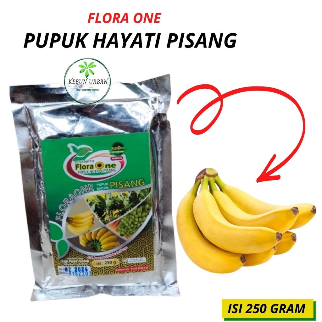 Jual Pupuk Pisang Ambon, Fungisida Hayati Untuk Pisang Cegah Layu Fusarium | Shopee Indonesia
