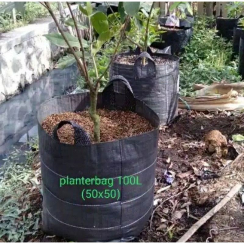 Jual Planter Bag 100liter pot tanaman pot buah Indonesia|Shopee Indonesia