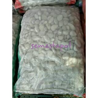 Jual KHUSUS GOSEND Batu Taman Koral Coral Putih KARUNG BESAR | Shopee ...