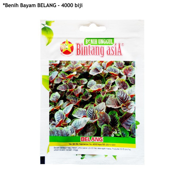Jual Benih Bayam Batik BELANG Daun Merah Hijau - 4000 biji ZZZ | Shopee ...