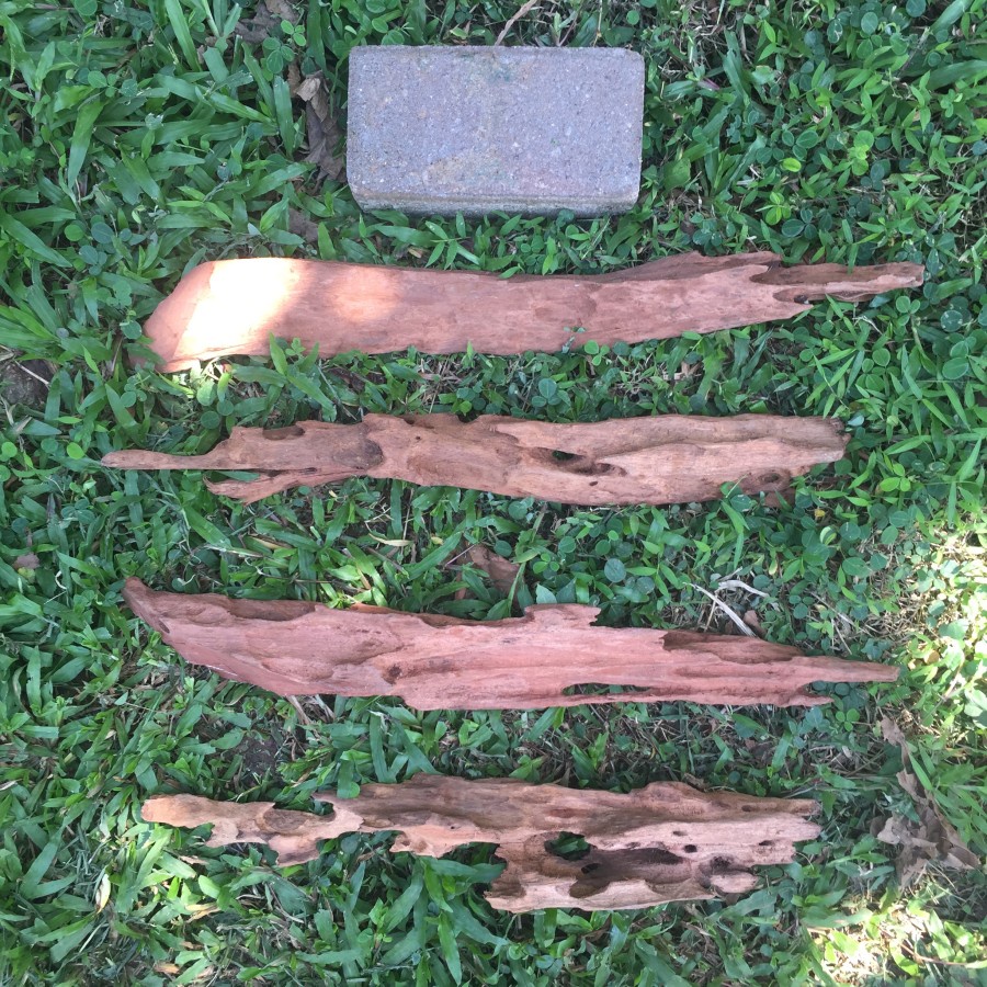 Jual Kayu Rentek ukuran M Kayu Tua Driftwood Bogwood utk Hiasan ...