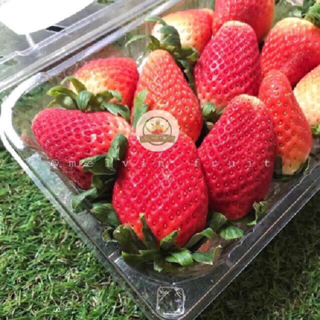 Korean Strawberry | Shopee Indonesia