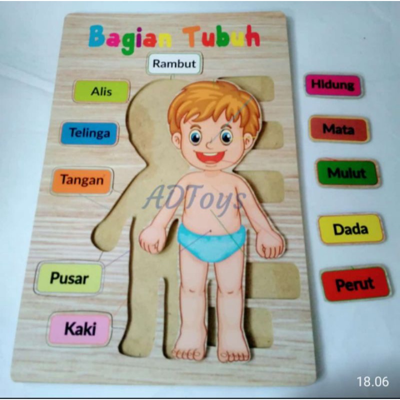 Jual Mainan Edukasi Anak Puzzle Kayu Anatomi Tubuh - Puzzle Bagian ...