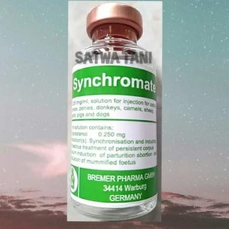 Harga Synchromate Terbaru Agustus 2023 |BigGo Indonesia