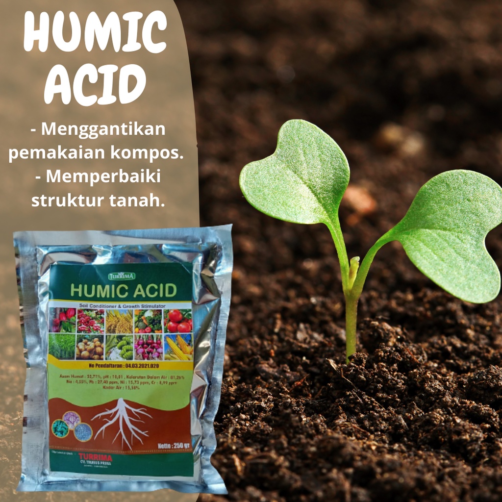Jual Asam humat terbaik, asam humat untuk tanaman, asam humat dicampur ...