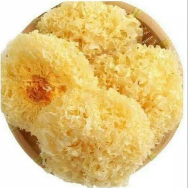 Jual Jamur Salju / Jamur Putih / Snow White Fungus Kemasan 100g ...
