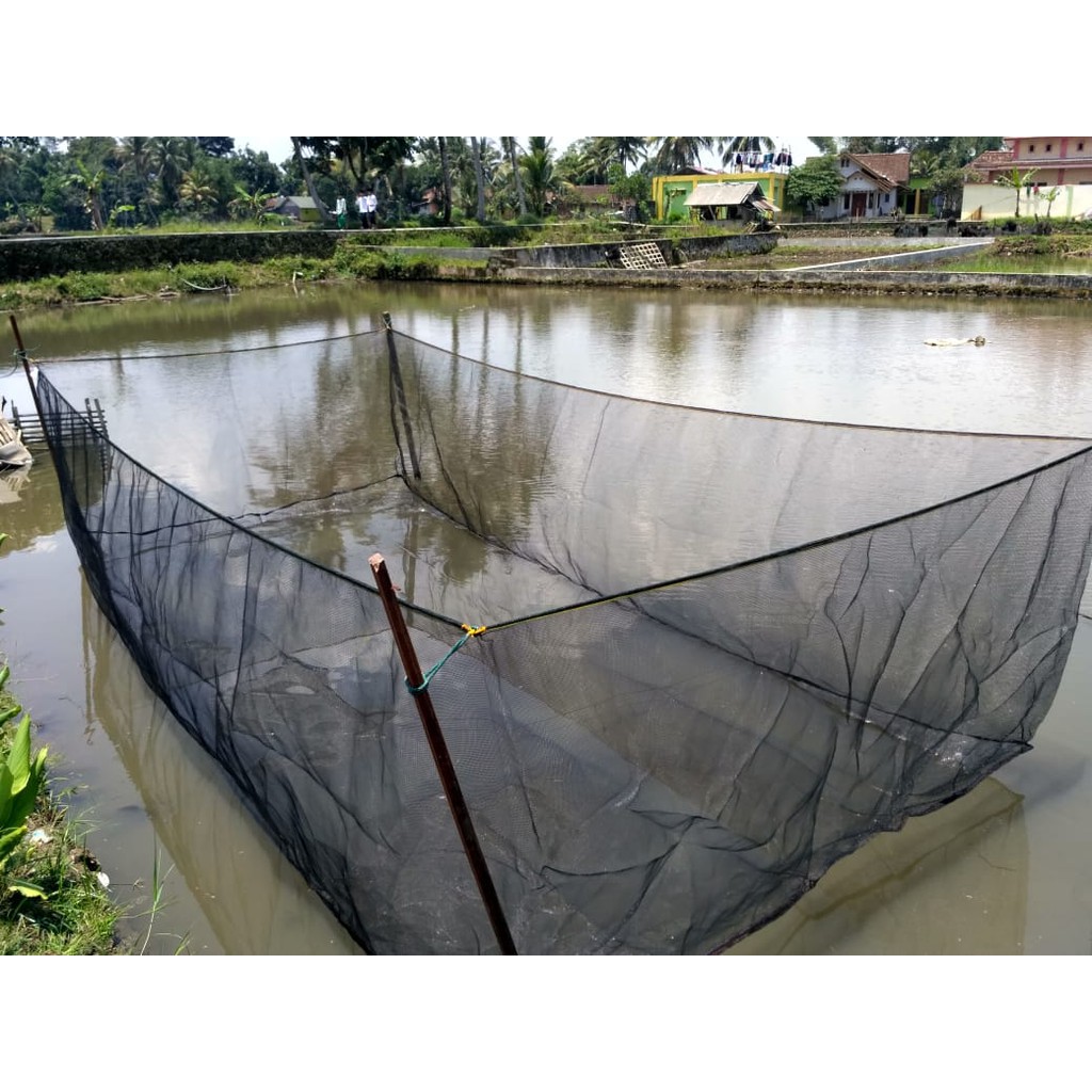 Jual Hapa Keramba Warung Jaring Ikan Siap Pakai 5Mx240cmx110cm | Shopee ...
