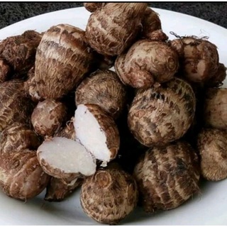 Jual mbote/ubi talas 1kg | Shopee Indonesia