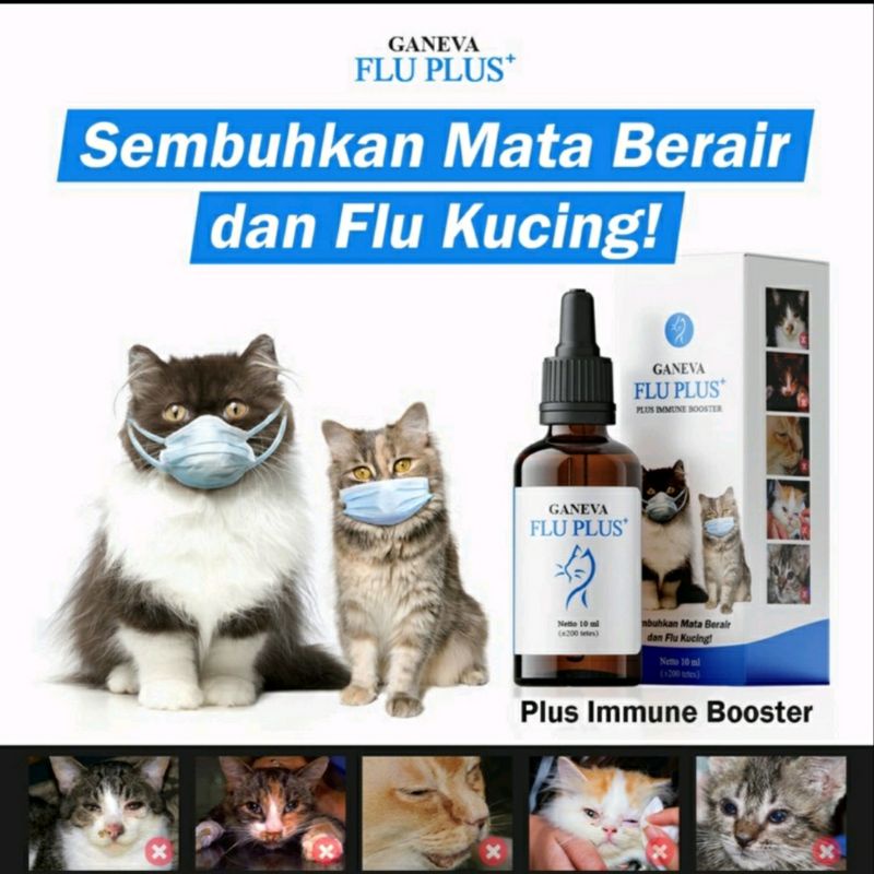 Jual obat flu kucing 10ml | Shopee Indonesia